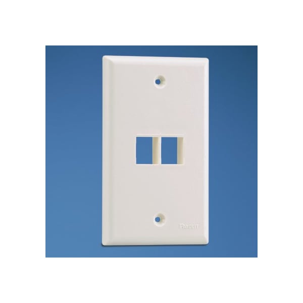 Panduit 2-Port, Single Gang, Flush Mount Face (10 Pack), 10PK NK2FNEI | Zoro